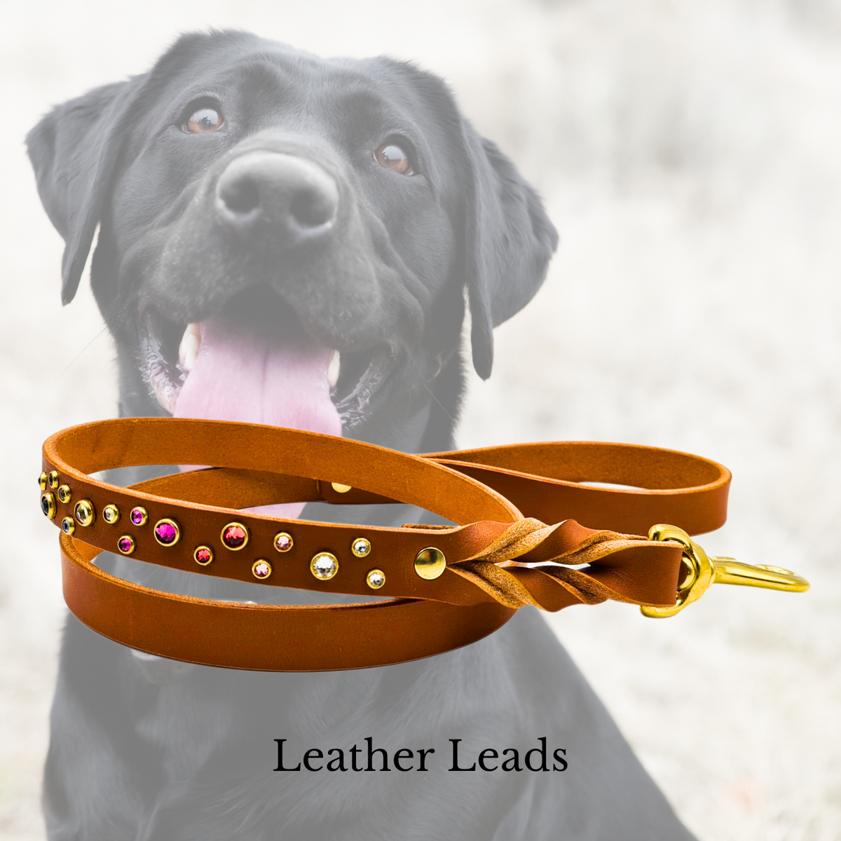 Leather Leads – Collar & Ruff