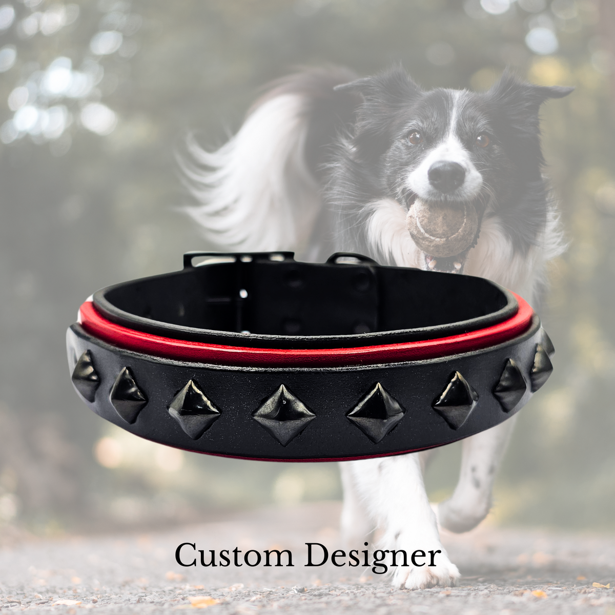 Your Custom Design – Collar & Ruff
