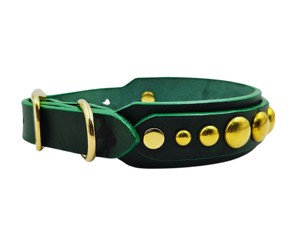 The Bold Collar – Collar & Ruff