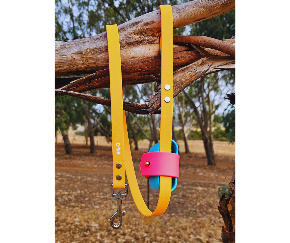 BioThane Poop Bag Holder – Collar & Ruff