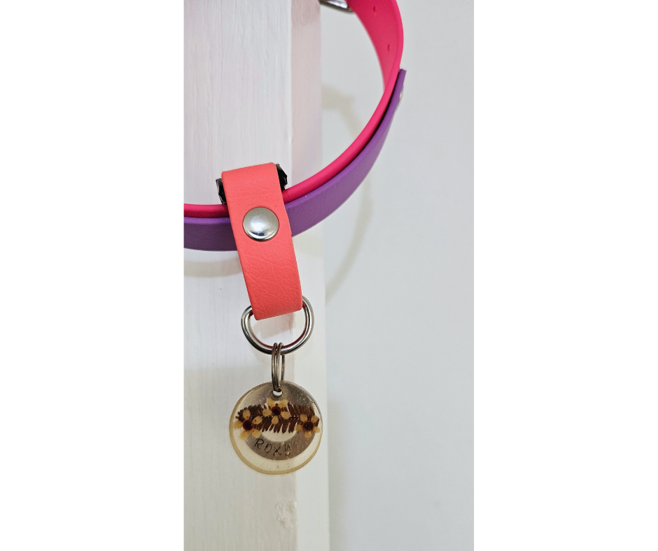 BioThane Tag Holder – Collar & Ruff