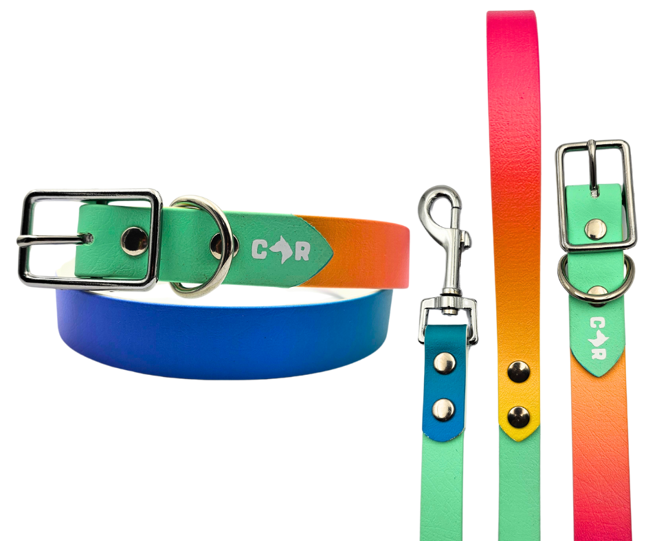 Collar & Ruff BioThane UV "Rainbow Spectrum" Collar